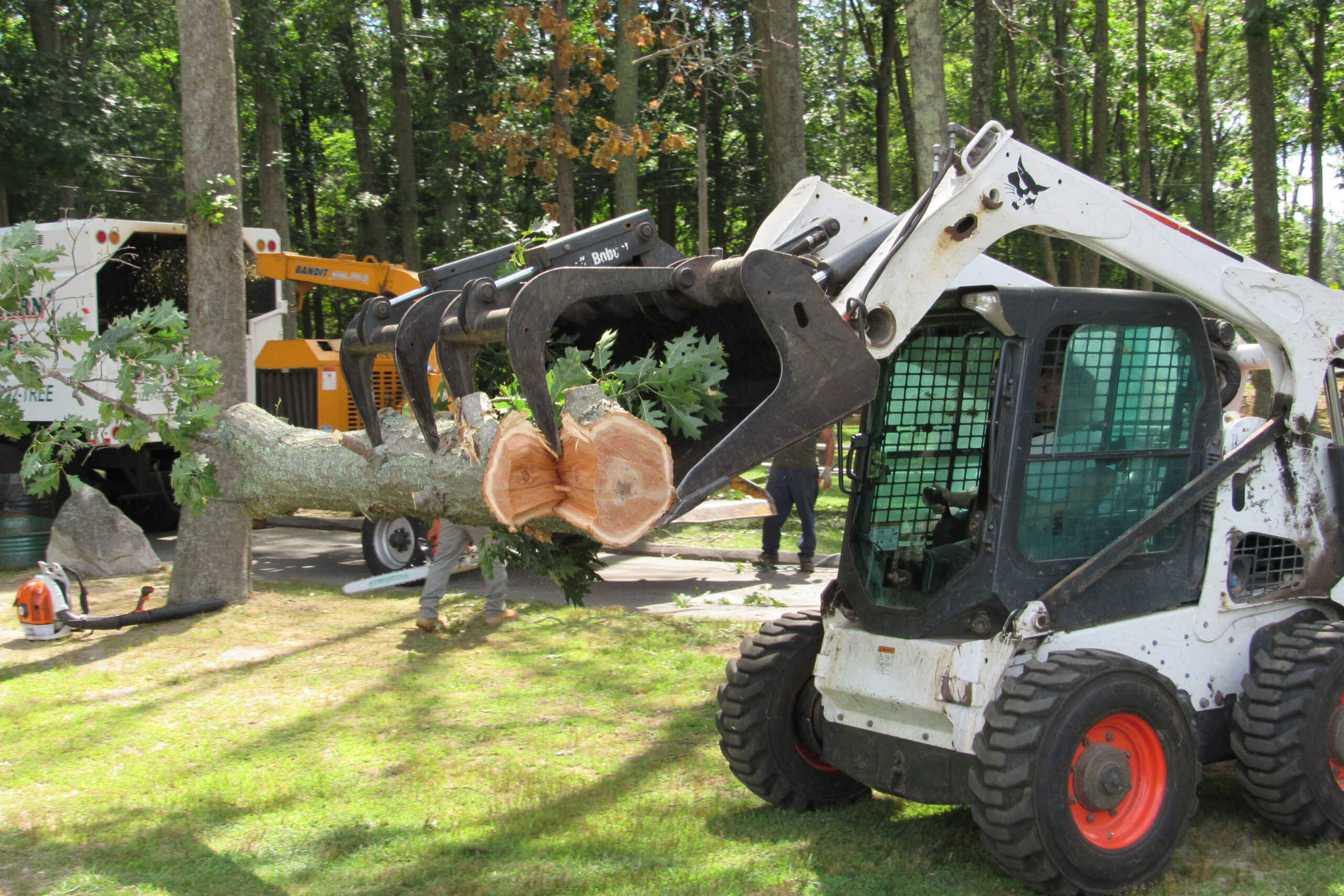 Commercial | Experienced Certified Arborists | North Eastern Tree