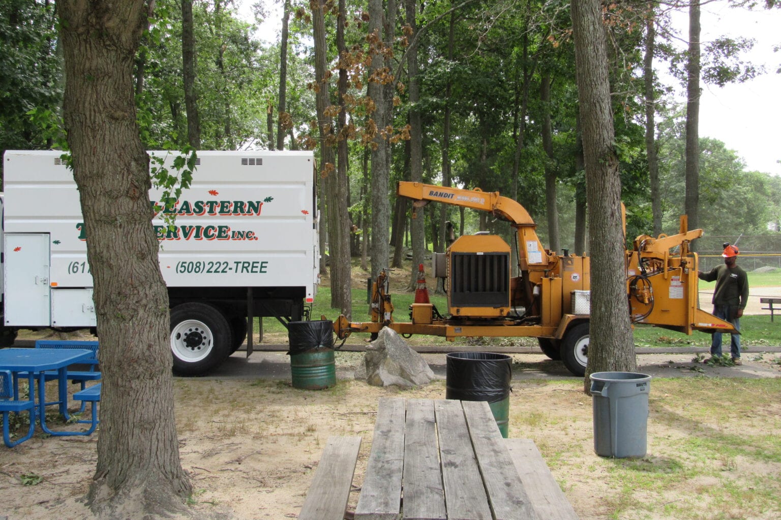 About Us - Certified Arborists In RI, CT, MA - North Eastern Tree