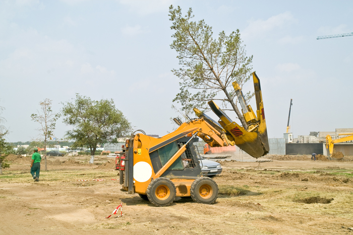 Before/After | North Eastern Tree Service