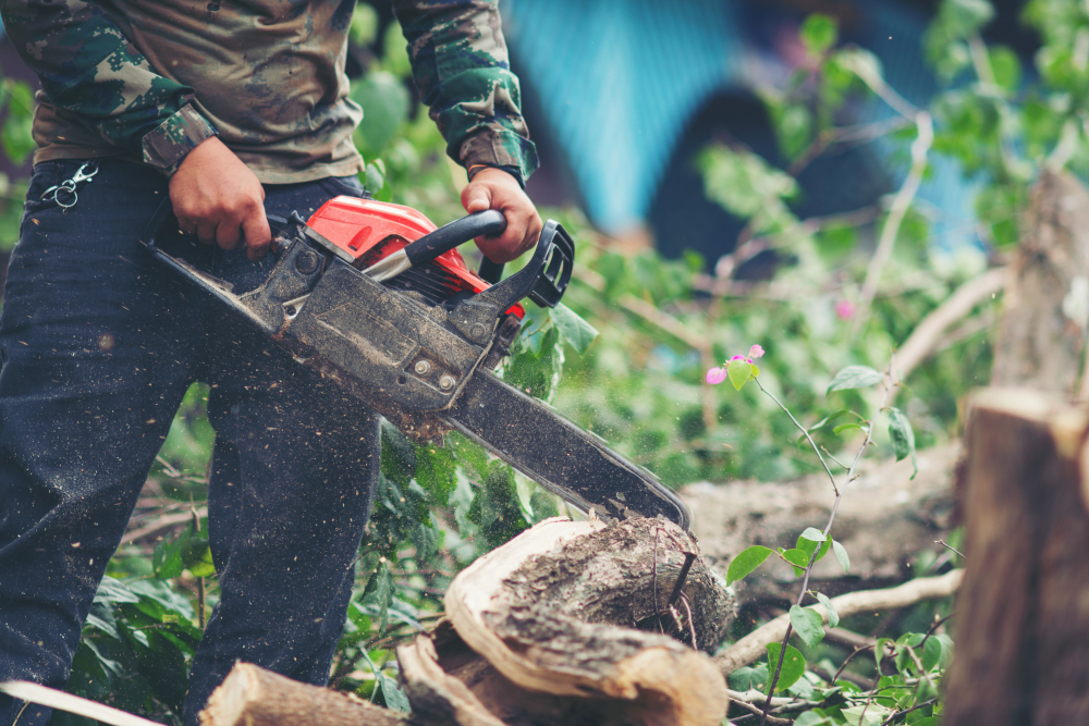 General Tree Services | North Eastern Tree Service