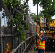 Utility Services | North Eastern Tree Service