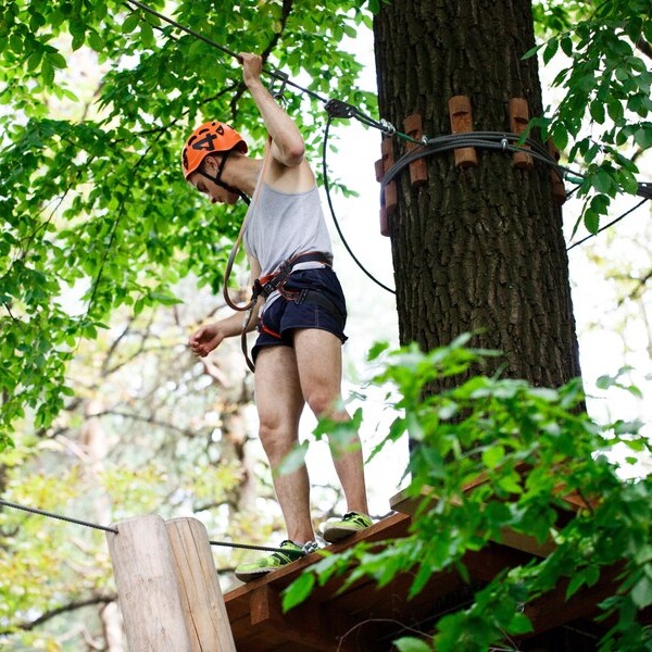 Residential Tree Services | North Eastern Tree Service