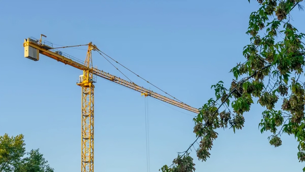Crane Tree Services in Rhode Island | North Eastern Tree Service